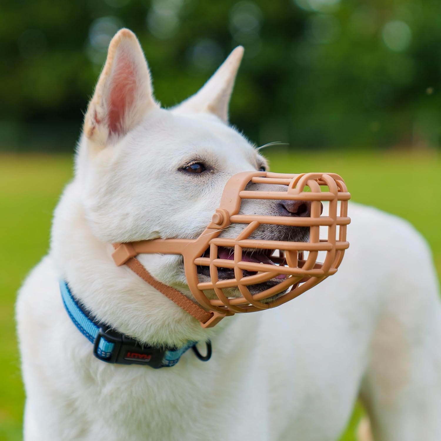 Puppy muzzle store