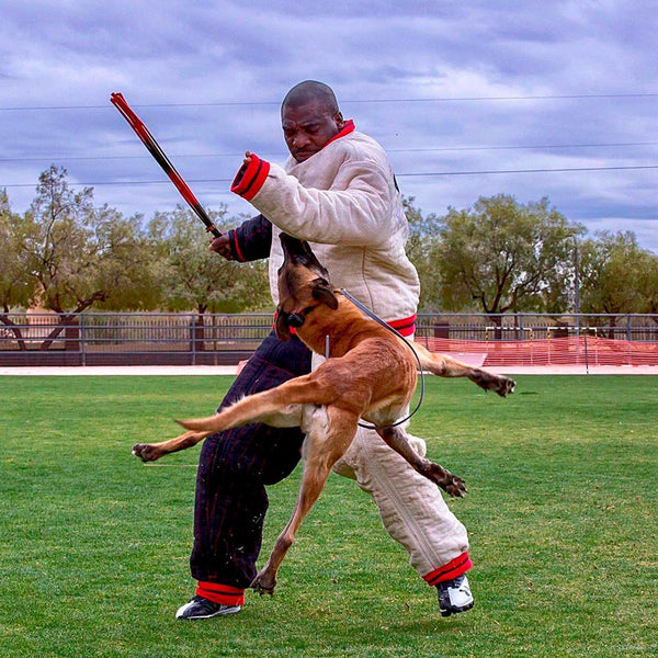 Demanet Semi Training Bite Suit - Custom Size – Redline K-9 Canada